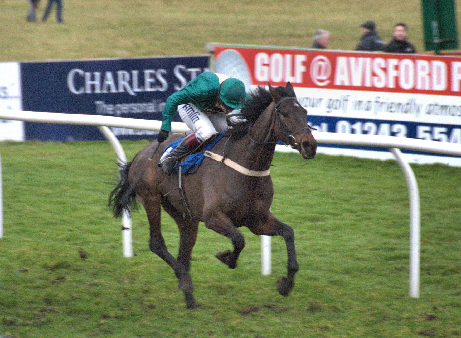 Re-Homed Racehorses - Richard Phillips Racing