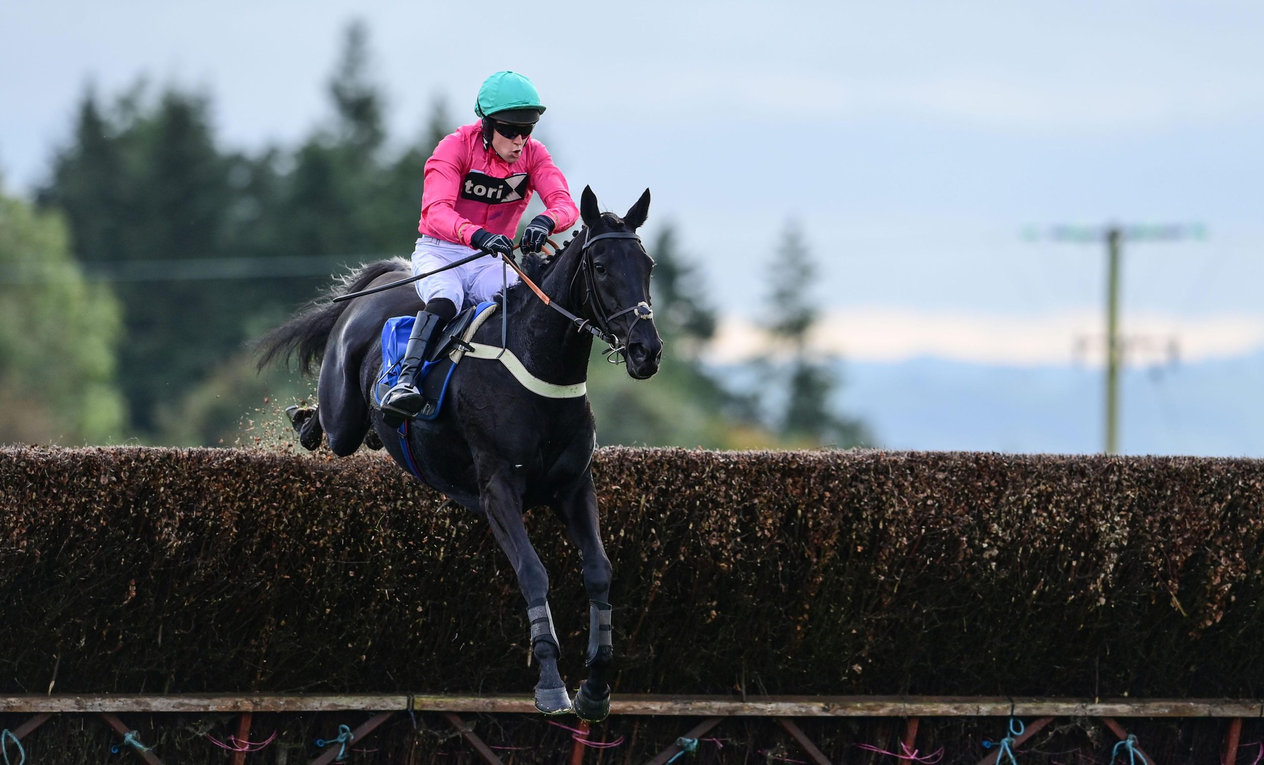 Richard Phillips Racing | Racehorse Trainer based in Adlestrop ...