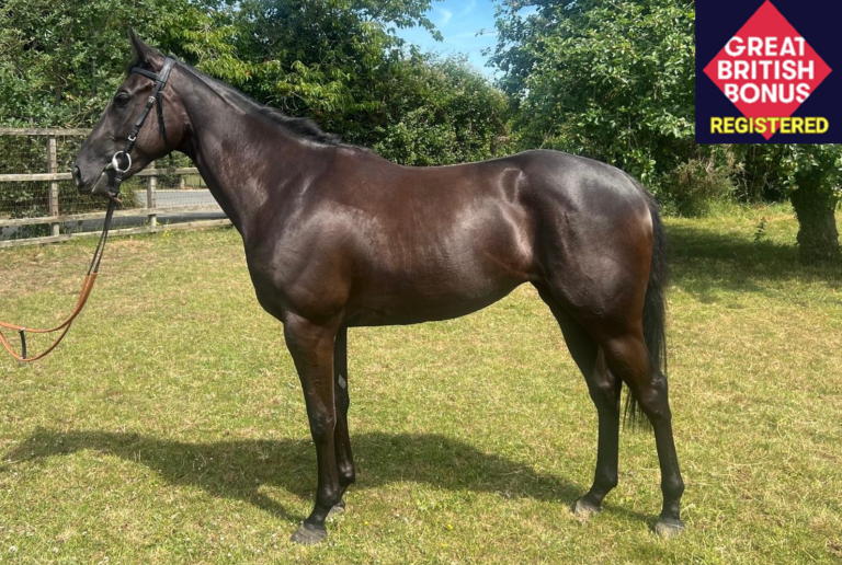 The Aspirationals - Dream Ahead Filly - Richard Phillips Racing