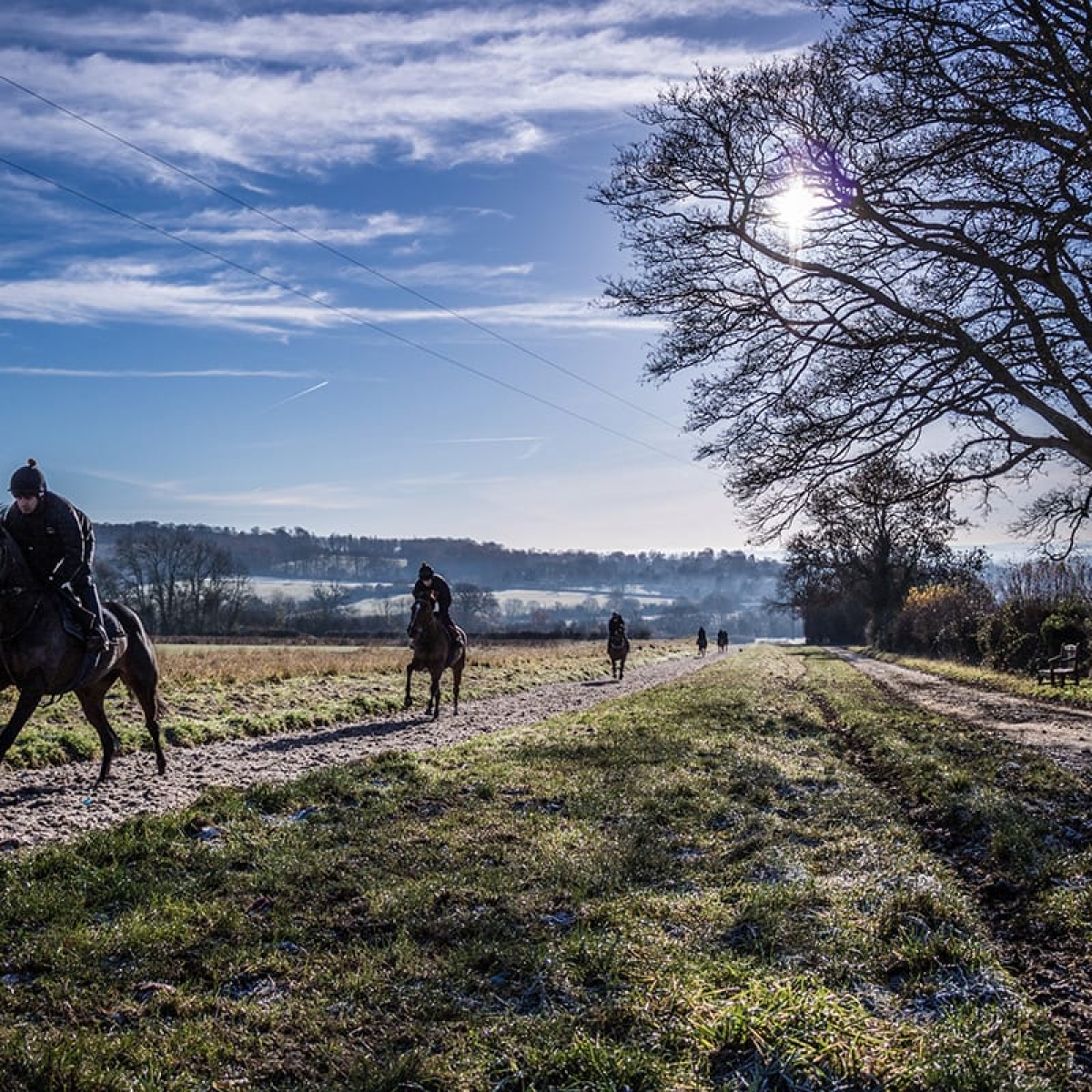 Adlestrop Stables Gallery - Richard Phillips Racing