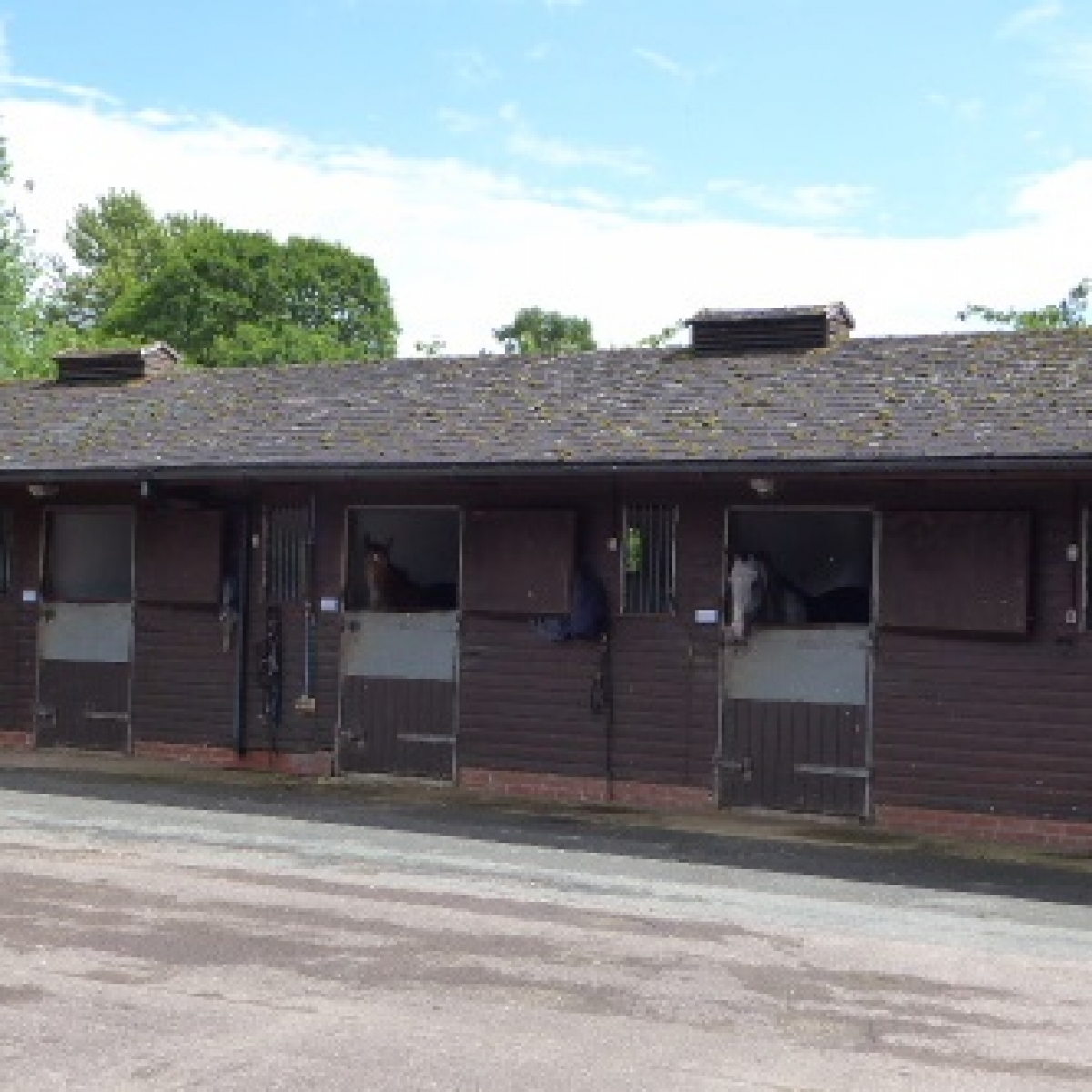 Adlestrop Stables Gallery - Richard Phillips Racing